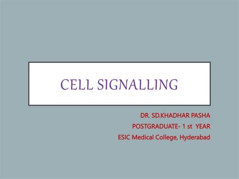 Cell Signaling Presentation Varrious Pathways Of Cell Signaling Physiology Pptx