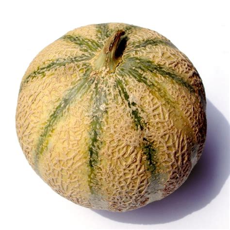 Melon Charentais Photo Gratuite Sur Pixabay