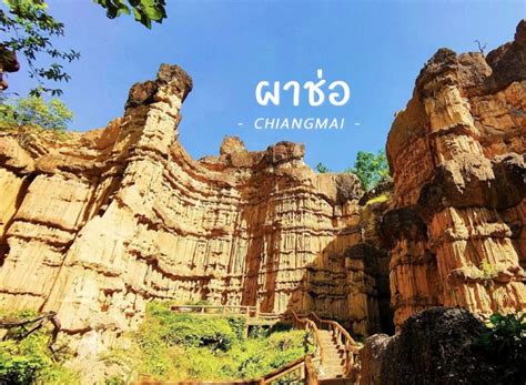 ผาช่อ หน้าผากลางป่ารูปทรงแปลกตา ความมหัศจรรย์ที่ธรรมชาติสรรค์สร้างขึ้น Go Out ไปเที่ยวกันเถอะ