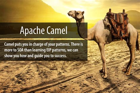 Apache Camel Savoir Technologies
