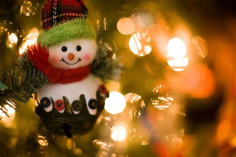 圣诞节历史文化故事 The Facts About Christmas 圣诞节历史文化故事 The Facts About Christmas