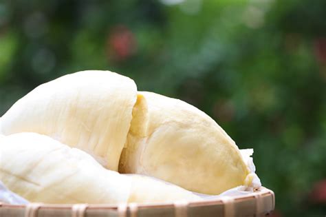 두리안 과일 바구니 신선 하 고 냄새 나는 과일 맛 있는 달 콤 하 고 맛 있는 아시아 갈색에 대한 스톡 사진 및 기타 이미지 갈색 건강한 식생활 계절 Istock