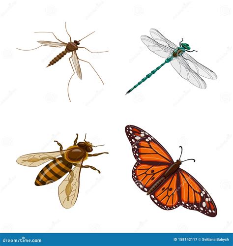 Vector Illustration Of Insect And Fly Icon Set Of Insect And Entomology Stock Symbol For Web