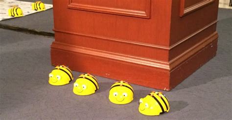 Beebots To Teach Coding In Nova Scotia Classrooms CBC News