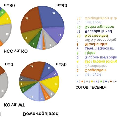 Overview Of Differentially Regulated Proteins Grouped Into 14 Download Scientific Diagram