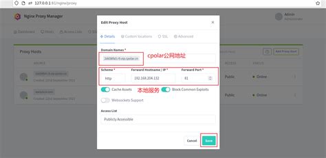 专业级反向代理工具nginx Proxy Manager详细配置与远程访问方案nginx Proxy Manager 教程 Csdn博客