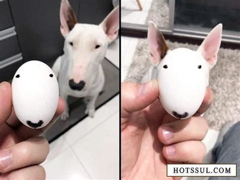 그리기 쉬운 얼굴 