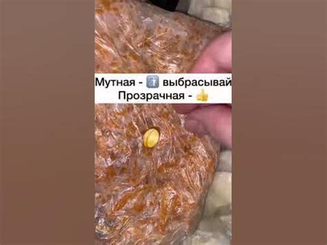 КАК ПРОВЕРИТЬ КАЧЕСТВО ОМЕГА 3 - YouTube