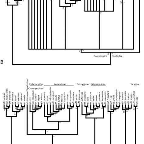 Principal Component Analysis With Convex Hulls Of Log Transformed A