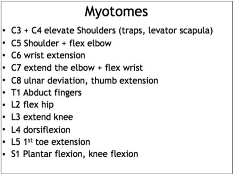 SCI Quiz Flashcards Quizlet SCI Quiz Flashcards Quizlet