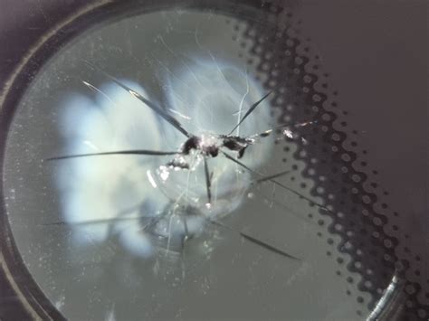 수원 동탄 유리복원 자동차유리복원 재작업건 썬팅지에 열변형까지왔네요 네이버 블로그