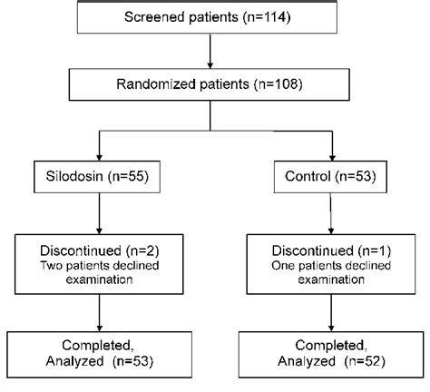 Diagrammatic Representation Of The Outcomes Of The 108 Randomized Download Scientific Diagram