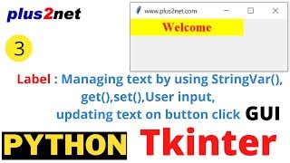 Capturing User Input In Tkinter Tips For Assigning Values To Variables