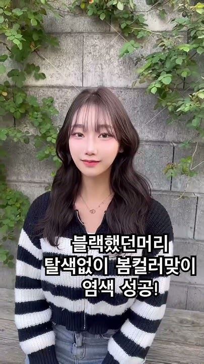 블랙했던머리 탈색없이 봄맞이 염색 하고싶은 사람 예쁜 에쉬브라운컬러 해봐요 🌸 서면미용실 봄맞이 염색 애쉬브라운