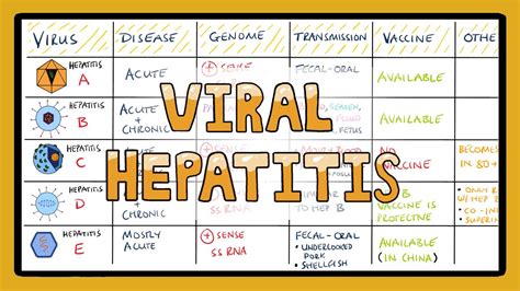 Explain The Different Types Of Hepatitis
