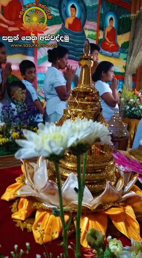 සසුන් කෙත අස්වද්දමු Home Facebook