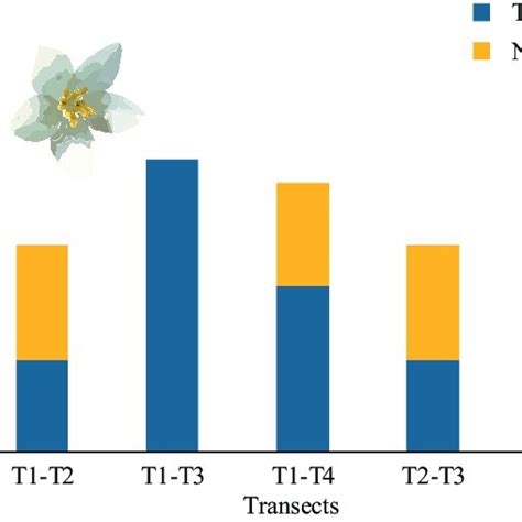 Stand Profile Diagrams Profile Diagram Illustration Changes In Tree Download Scientific