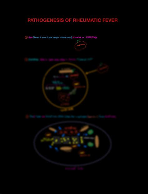 Solution Pathogenesis Of Rheumatic Fever Worksheet Studypool