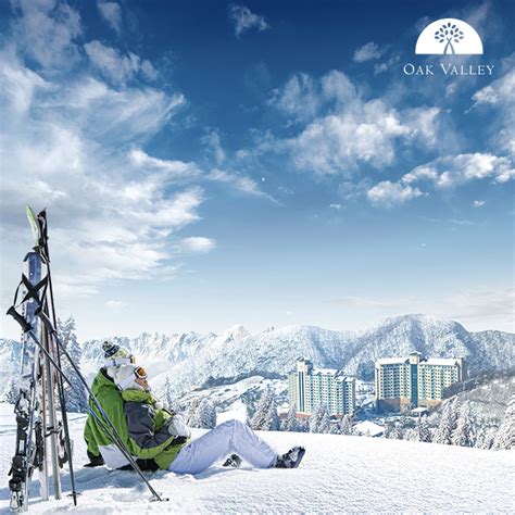 원주 오크밸리리조트 스키 리프트 단일권 오전오후야간 택1 티몬