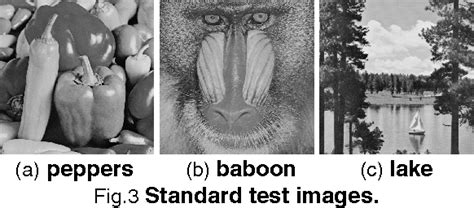 Table 1 From Steganalysis Of Lsb Matching In Gray Images Based On Regional Correlation Analysis