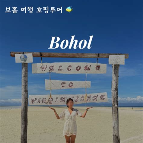 보홀 발리카삭 호핑투어 현지 업체 예약 후기 거북이 돌고래 와칭 준비물 추천 네이버 블로그