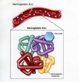 The Rockefeller University Hospital Centennial