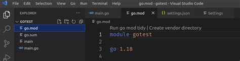 Can Not Open Source Code By F12 · Issue 2375 · Golangvscode Go · Github