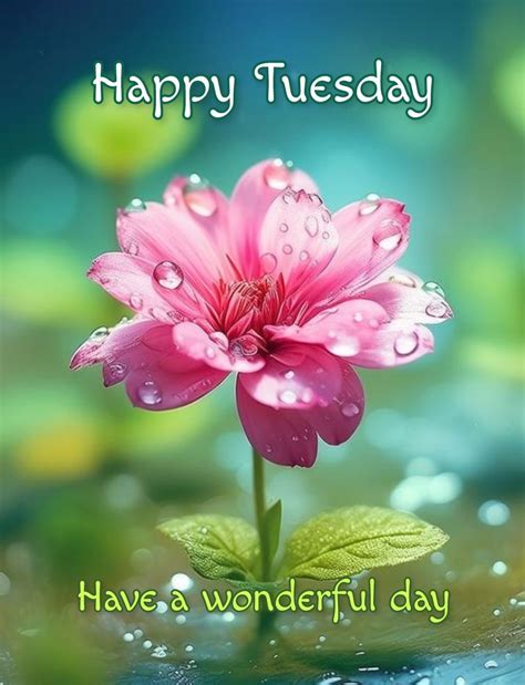 Happy Tuesday