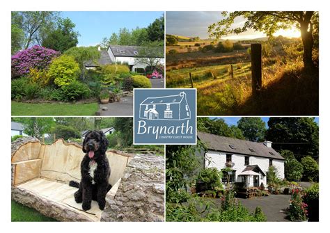 Lucy Phipps Phippslucy Twitter