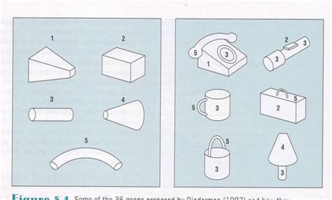 Cognitive Psych Exam 4 Quiz Questions Flashcards Quizlet