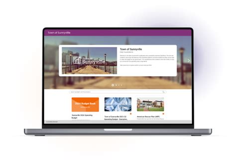 Budget Professional Euna Solutions