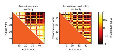 Pdf Reconstructing Speech From Human Auditory Cortex