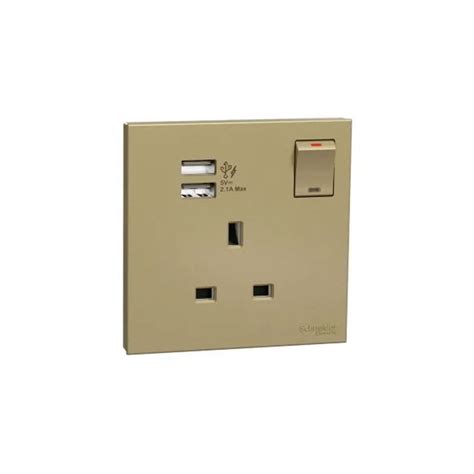 Schneider E8715usbr Wg 1x13a Sso With 2 1a 2 Port Usb Chee Kong Electric Co