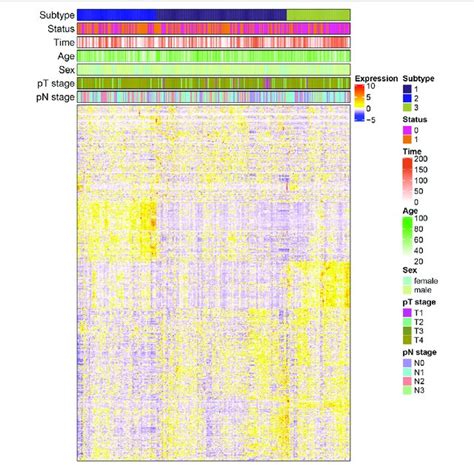 Heatmap Of The Correlation Between Differential Genes Expression And