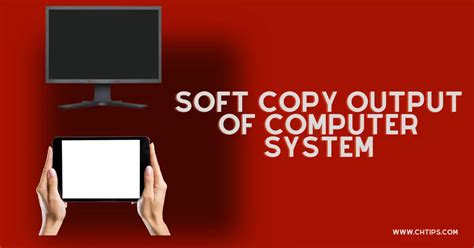 what are the soft copy output devices of computer system with examples