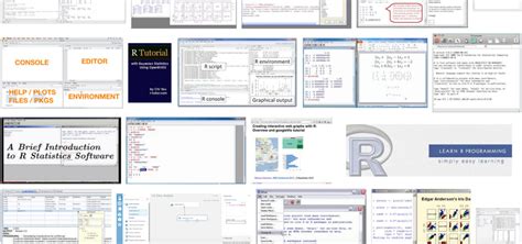 Rssig An R Interest Group For University Of Florida Social Scientists Raffaele Vacca