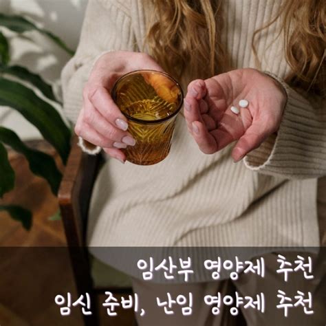 임산부 영양제 추천 임산부 영양제 시기 난임 영양제임신 초기 영양제임신 중기 영양제 임신 후기 영양제 네이버 블로그