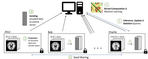 private efficient and scalable kernel learning for medical image