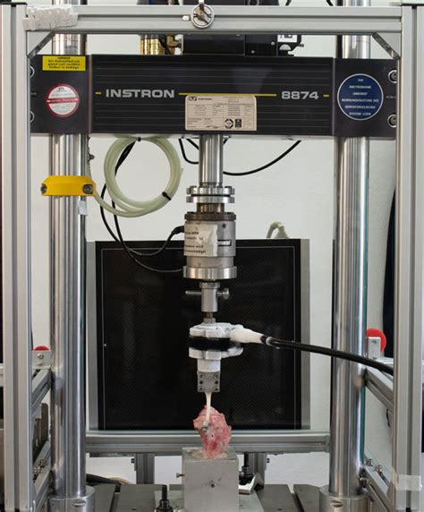Testing Setup In The Servohydraulic Uniaxial Testing Machine Using A