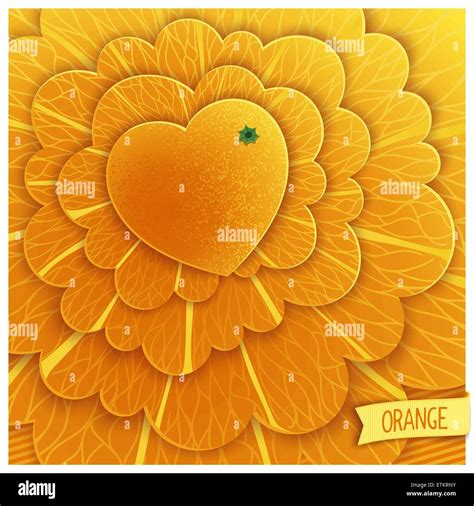 Packing Of Oranges Stock Vector Images Alamy