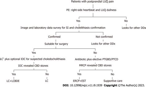 A Practical Algorithm For Diagnosis And Management To Treat Download Scientific Diagram