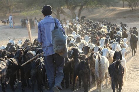 Shakti Swarup Mohapatra On Linkedin Healthcaredisparities