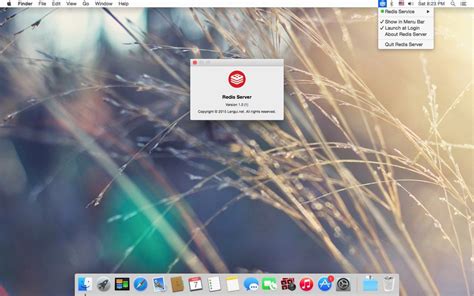Redis Server By Macos Apps Appagg