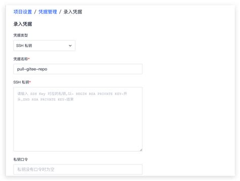 如何在 Coding 持续集成中通过 Ssh 方式拉取 Gitee 仓库代码？ 什么是 Devops Devops 介绍 ｜ Coding Devops