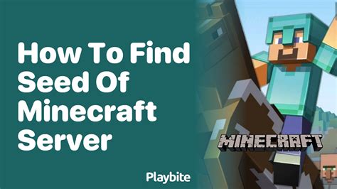How To Find The Seed Of A Minecraft Server Playbite