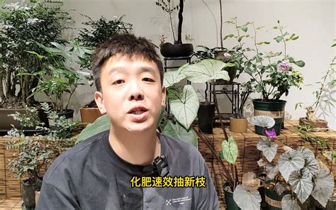 Bilibili