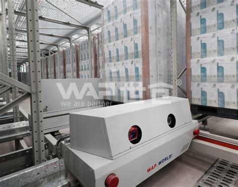 Shuttle Carrier System A New Kind Of High Density Storage Solutions