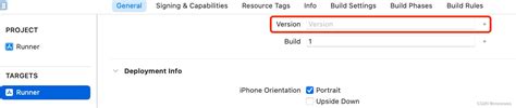 Flutter And Ios问题记录 The Application‘s Infoplist Does Not Contain A