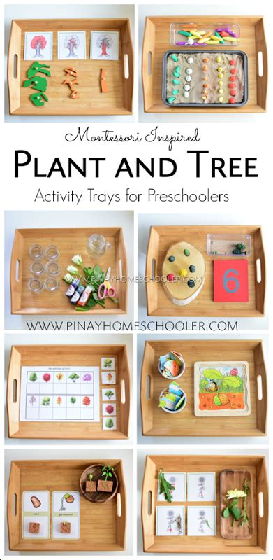 Montessori Inspired Plant And Tree Activity Trays For Preschoolers