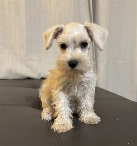 Cute Beards And Brows